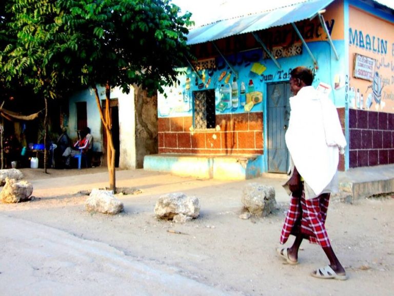 Returning to my roots in Balcad – Voices of Africa